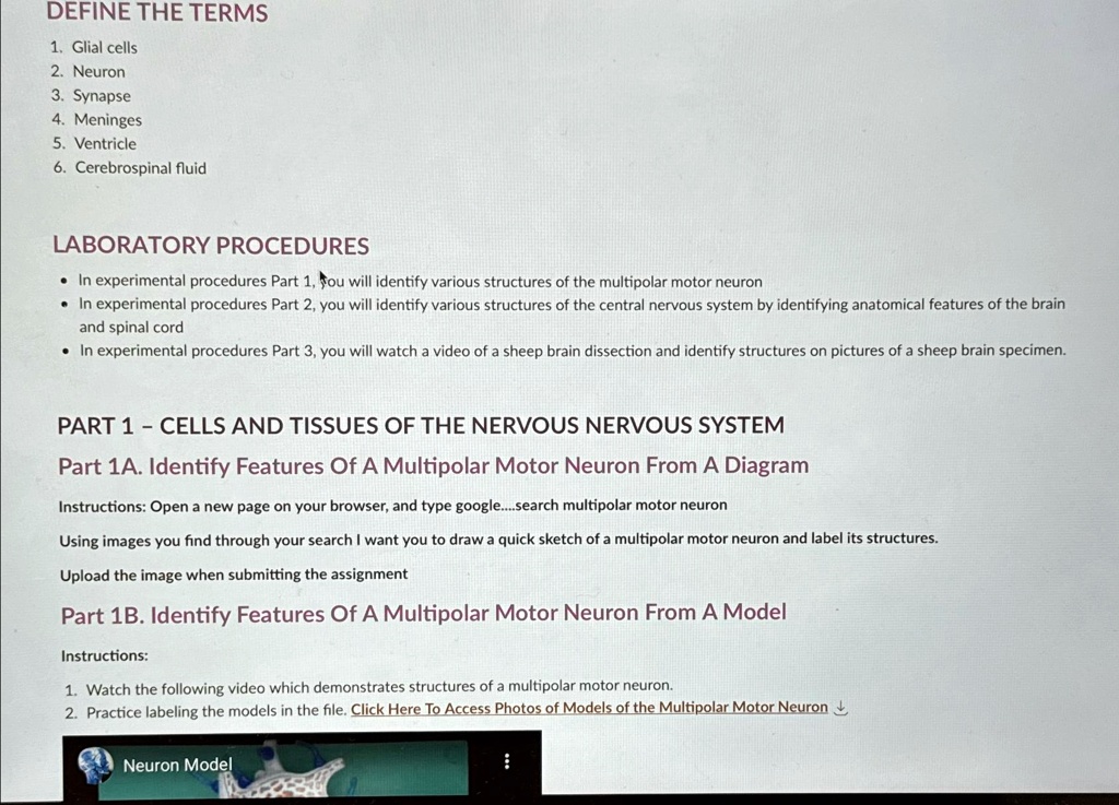 DEFINE THE TERMS 1. Glial cells 2. Neuron 3. Synapse 4. Meninges 5 ...