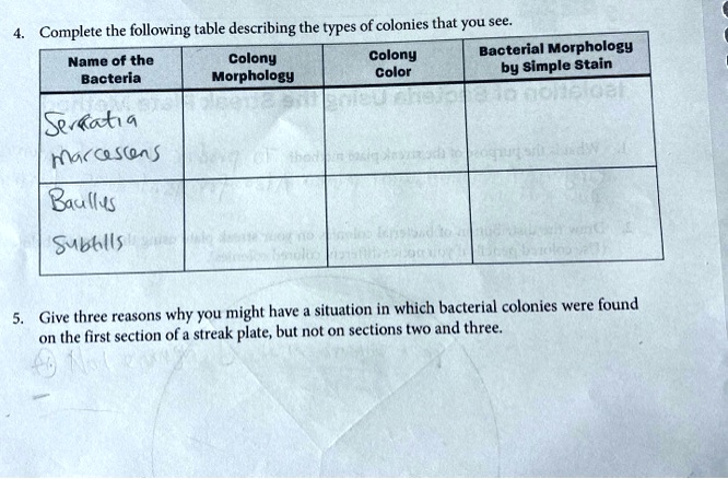Complete the following table describing the types of colonies that You ...