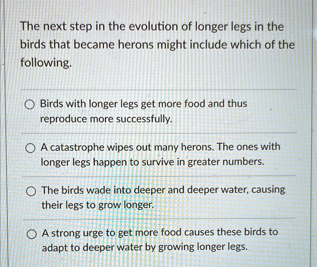 The next step in the evolution of longer legs in the birds that became ...