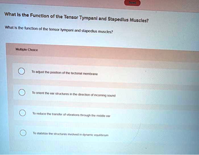 SOLVED: What Is the Function of the Tensor Tympani and Stapedius ...