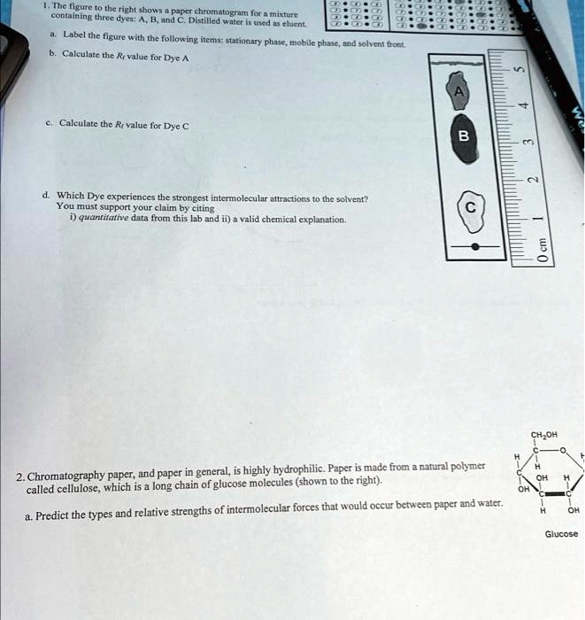 SOLVED: 1. The figure to the right shows a paper chromatogram for a ...