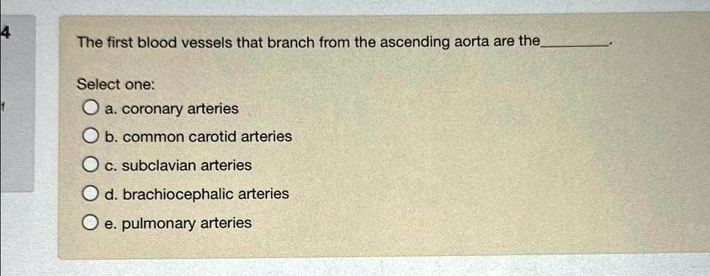 SOLVED: The first blood vessels that branch from the ascending aorta are the Select one: a ...