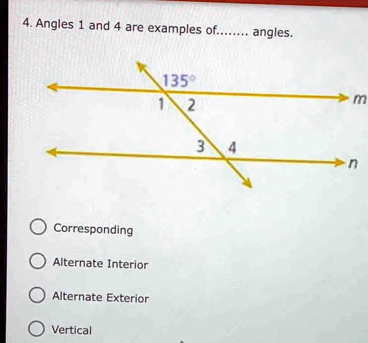 SOLVED: Angles 1 and 4 are examples of. angles; 1358 2 (I 3 ...