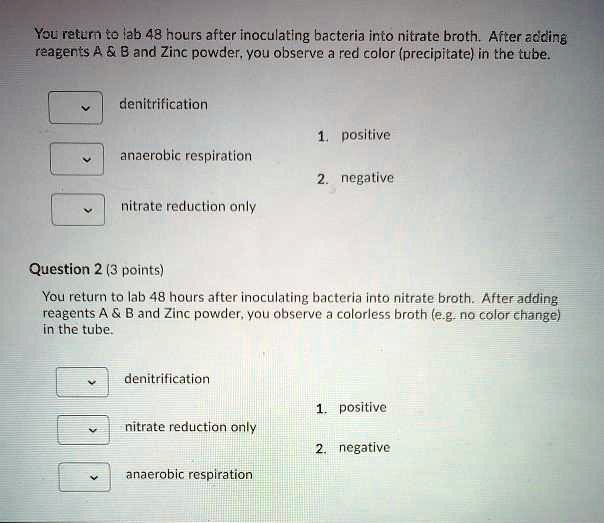 SOLVED: You return to lab 48 hours after inoculating bacteria into ...