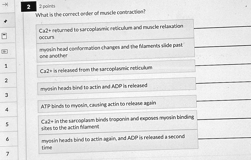 SOLVED: 2 2 points What is the correct order of muscle contraction? Ca2+ returned to ...