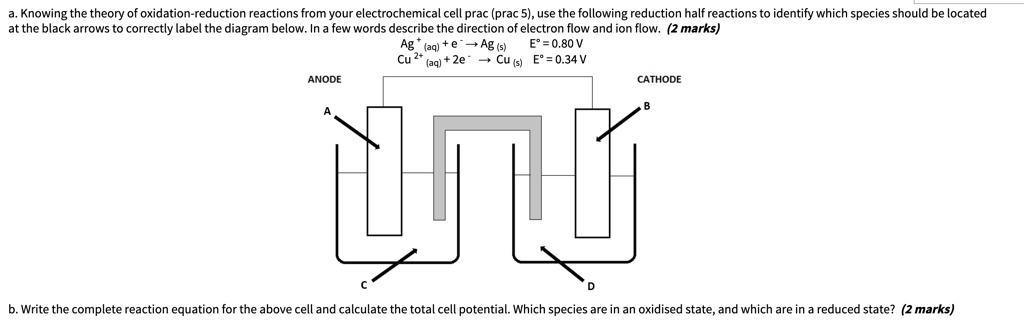 SOLVED: Knowing the theory of oxidation-reduction reactions from your electrochemical cell prac ...