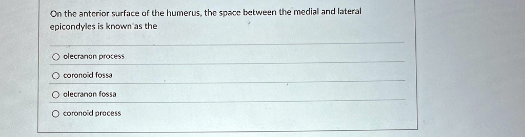 on the anterior surface of the humerus the space between the medial and ...