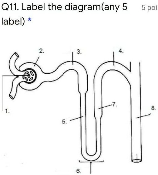SOLVED: Please label this diagram and also write the name of this ... SOLVED: Please label this diagram and also write the name of this ...