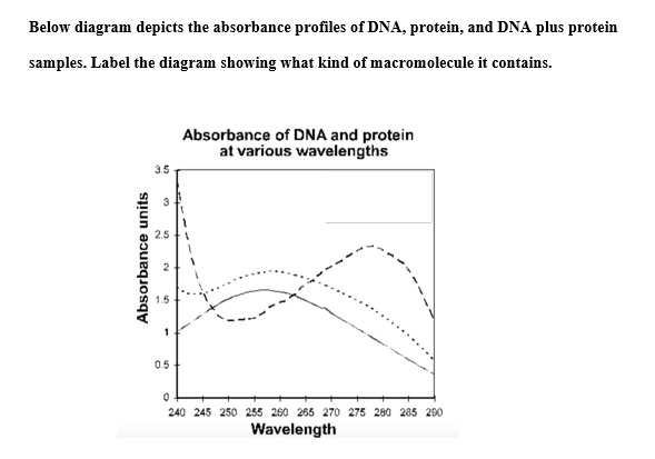 below diagram depicts the absorbance profiles of dna protein and dna ...