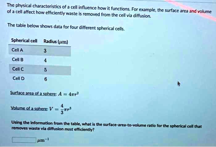 The physical characteristics of a cell influence how it functions. For ...