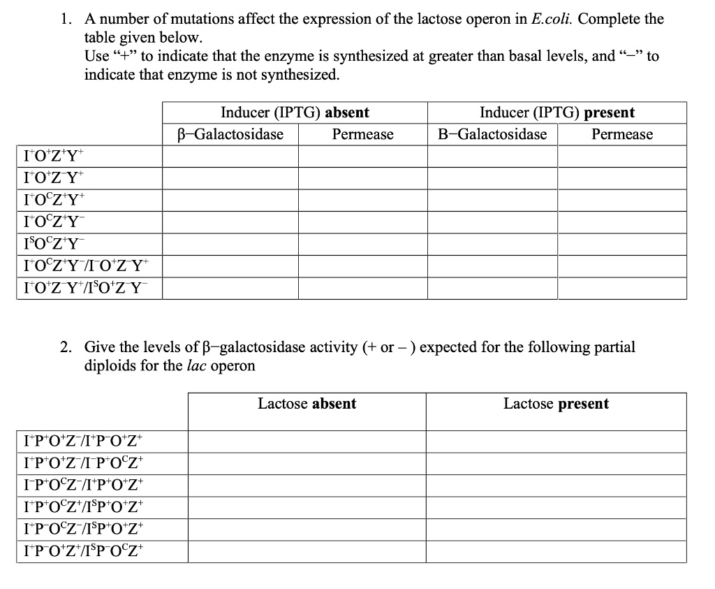 a number of mutations affect the expression of the lactose operon in ...