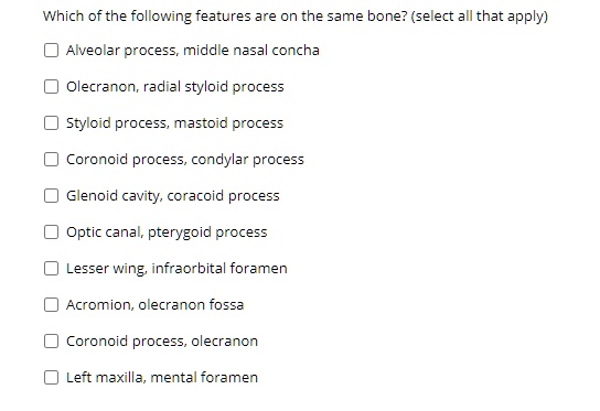 bones which of the following features are on the same bone select all ...