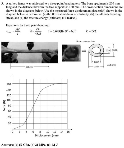Turkey femur was subjected to three-point bending. The bone specimen ...