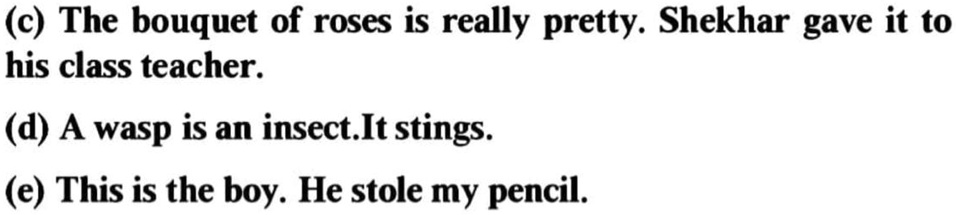 SOLVED: 'Join the following sentences using relative pronouns (grammar)'