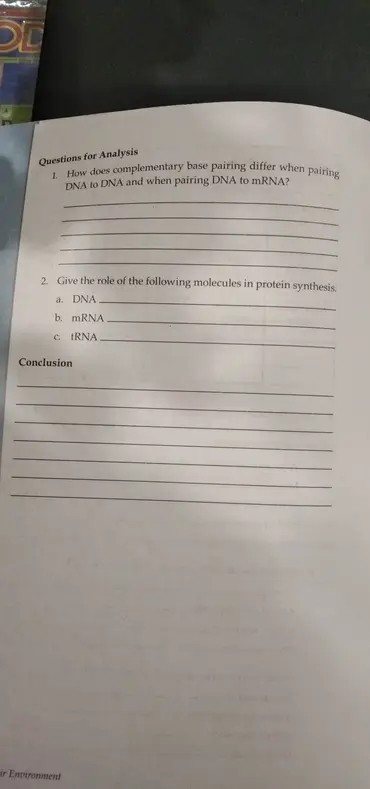 Questions For Analysis 1 How Does Complementary Base Pairing Differ When Pairing Dna To Dna And