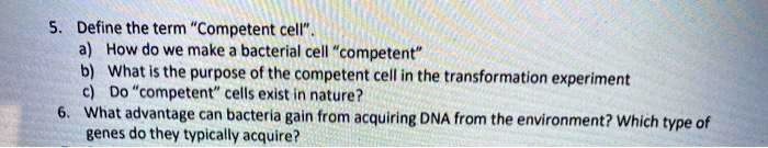 define the term competent cell how do we make bacterial cell competent ...