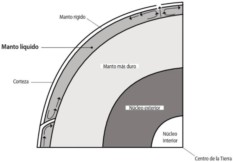 SOLVED: La siguiente imagen es un corte transversal que muestra las ...