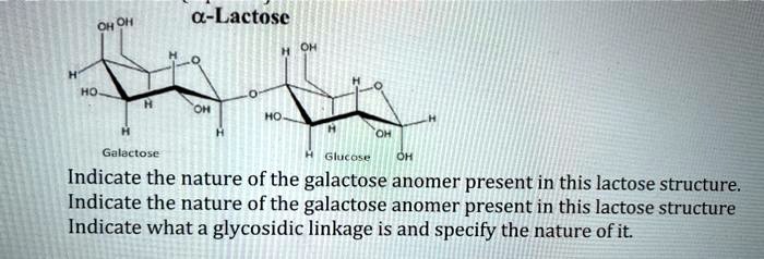 SOLVED: a-Lactosc Galactose Gluco e Indicate the nature of the ...