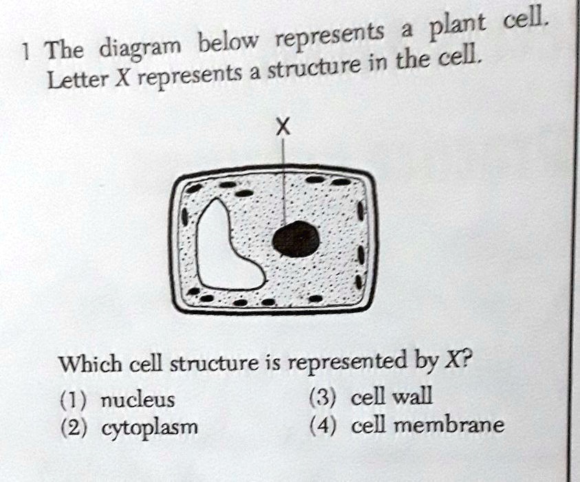 the diagram below represents a plan cell letter x represents a ...