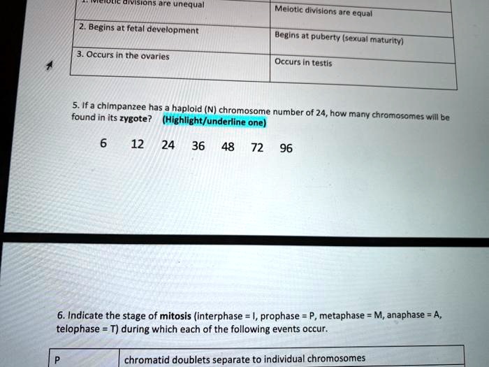 divisions are unequal melotic divisions are equal begins fetal ...