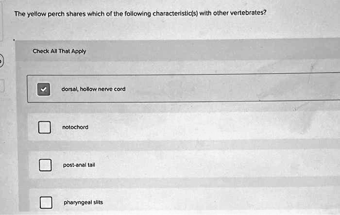 SOLVED: The yellow perch shares which of the following characteristics ...