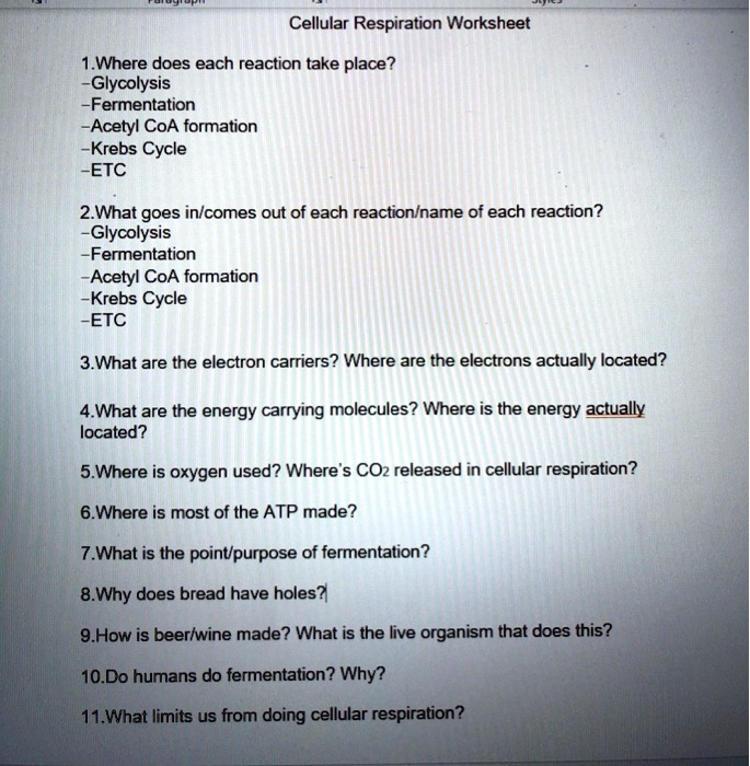 SOLVED: Cellular Respiration Worksheet Where does each reaction take ...