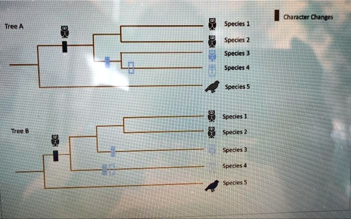 SOLVED: Texts: I see the tree, but I need to know which one has the ...