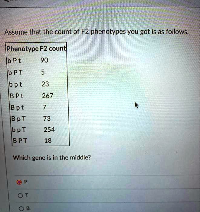 assume that the count of f2 phenotypes you got is as follows phenotype ...