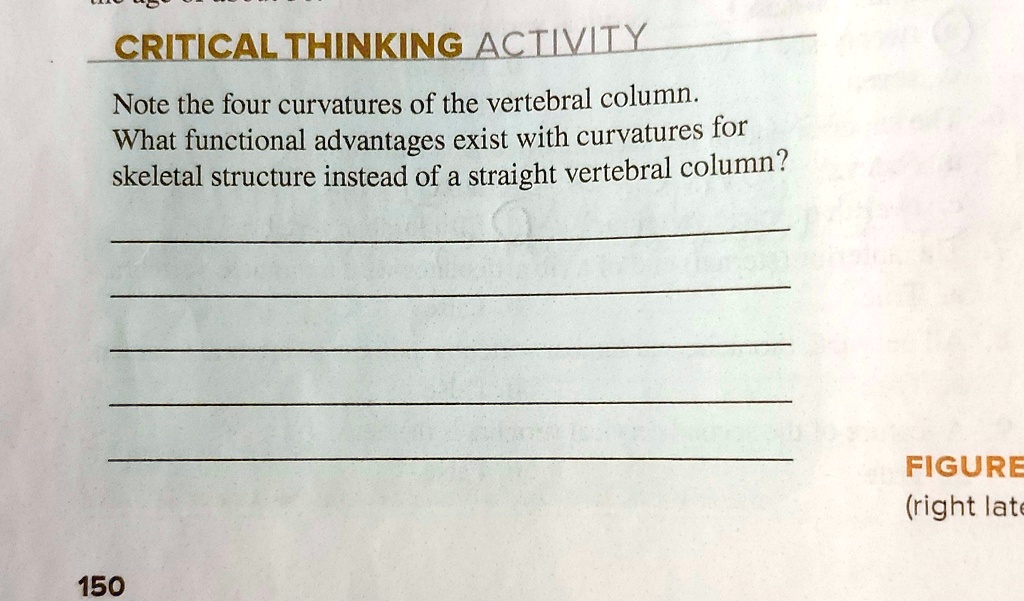 CRITICAL THINKING ACTIVITY Note the four curvatures of the vertebral ...