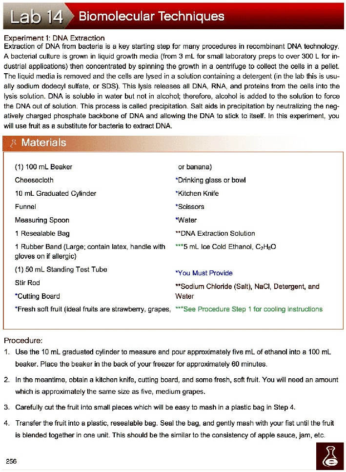 experiment 1 dna extraction questions from procedure 1 which dna bases ...