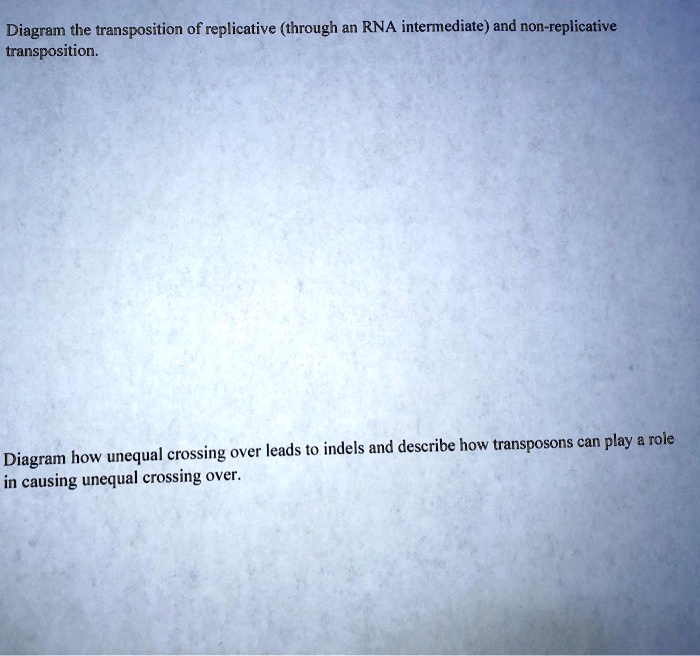 SOLVED: Diagram the transposition of replicative (through an RNA ...