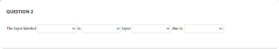 SOLVED: QUESTION 2 The layer labeled is layer due to QUESTION 2 The ...