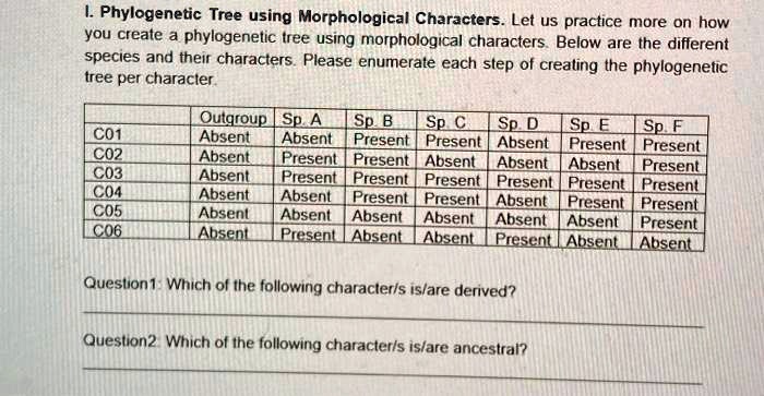 SOLVED: I. Phylogenetic Tree using Morphological Characters. Let us practice more on how you ...