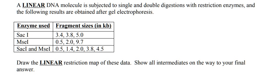 SOLVED: A LINEAR DNA molecule is subjected to single and double ...