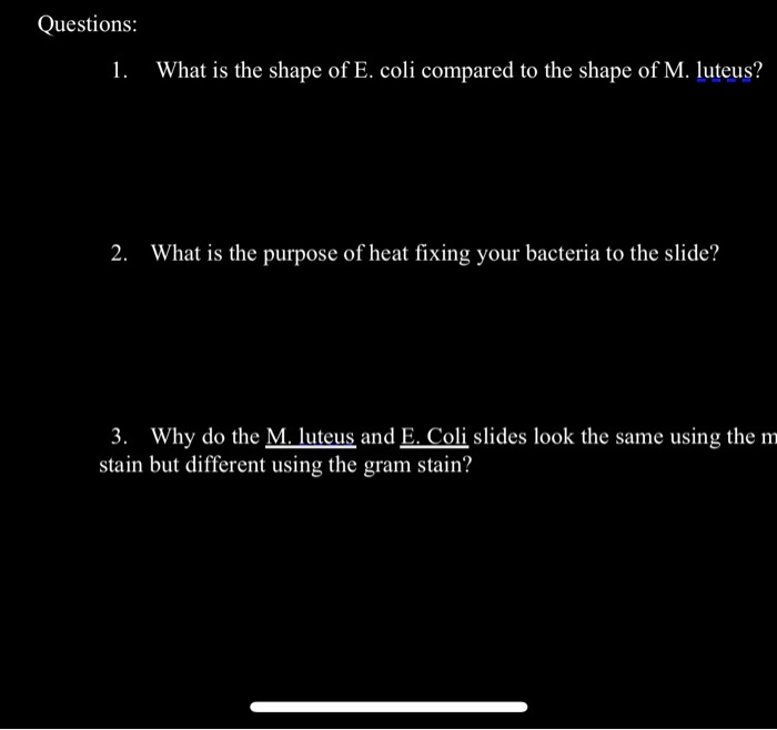 SOLVED: Questions: What is the shape of E. coli compared to the shape ...