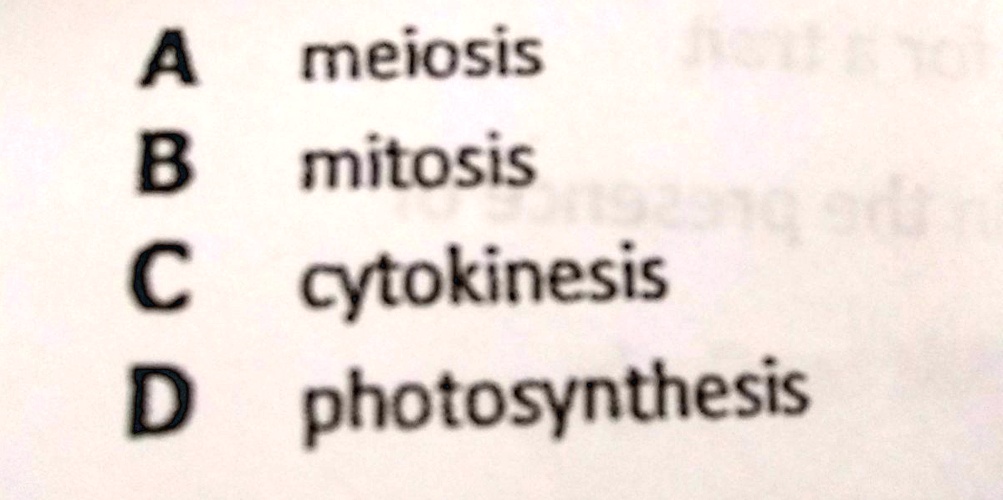 'In what process does a cell nucleus divide forming two nuclei with ...