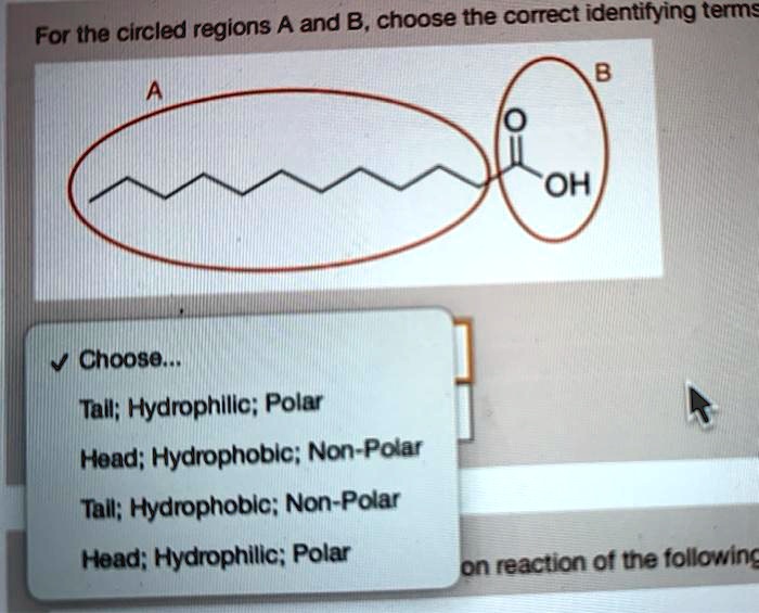 SOLVED: For the circled regions A and B, choose the correct identifying ...
