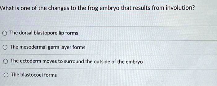 SOLVED: What is one of the changes to the frog embryo that results from ...