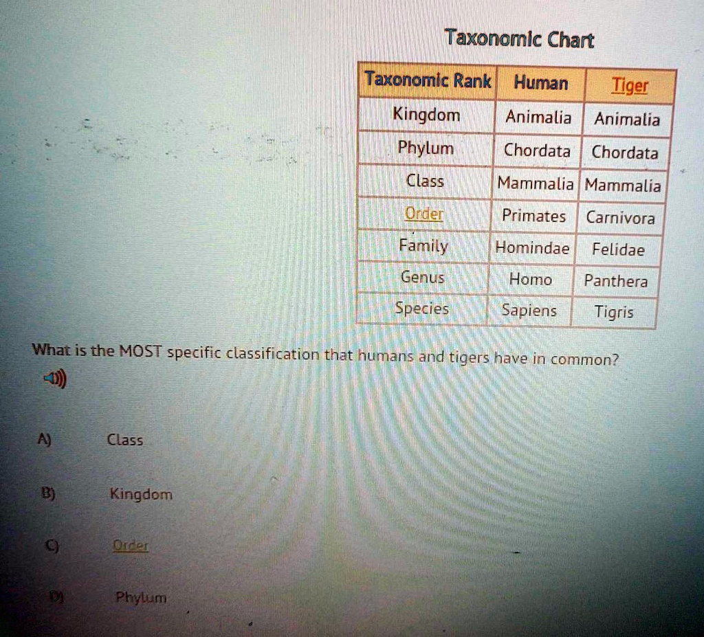 SOLVED: 'science a:Class B;kingdom c:order or d:phylum Taxonomlc Chart ...