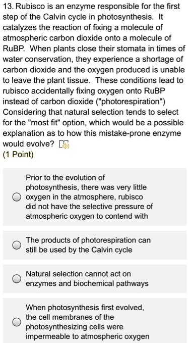 SOLVED: 13.Rubisco is an enzyme responsible for the first step of the ...