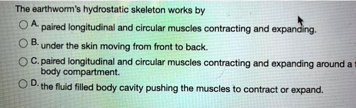 SOLVED: The earthworm's hydrostatic skeleton works by paired ...