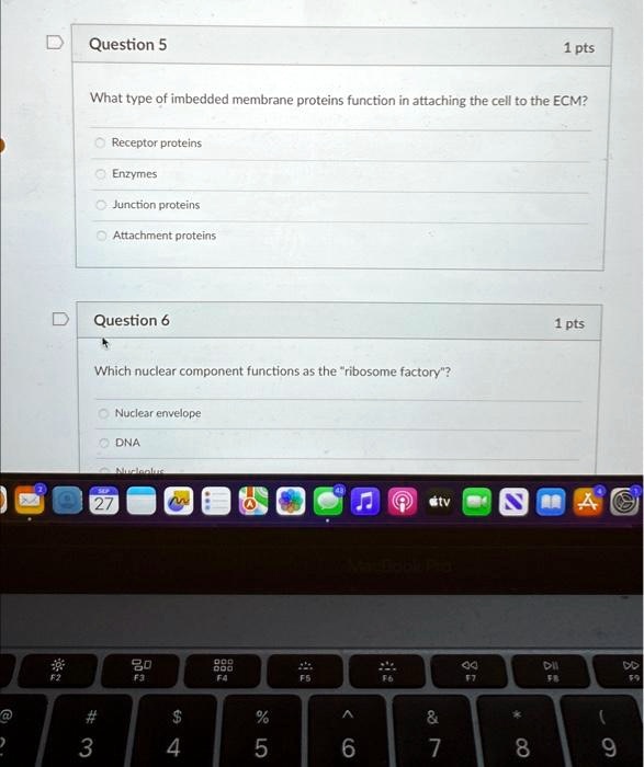 SOLVED: Texts: Question 5 1pts What type of embedded membrane proteins ... SOLVED: Texts: Question 5 1pts What type of embedded membrane proteins ...