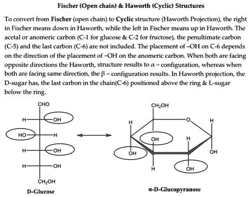 SOLVED: Text: Fischer (Open chain) Haworth (Cyclic) Structures To ...