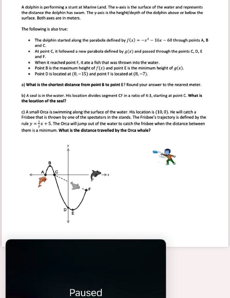SOLVED: A dolphin is performing stunt at Marine Land. The x-axis is the ...