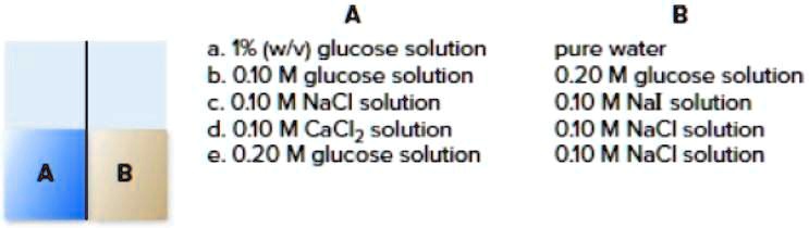 SOLVED: A flask contains two compartments (A and B) with equal volumes of solution separated by ...