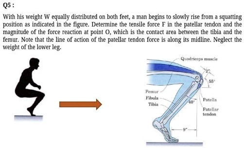 Q5: With his weight W equally distributed on both feet, a...