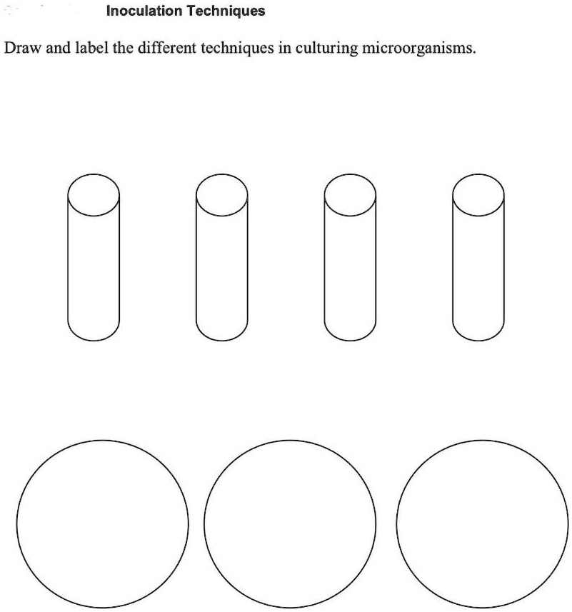 Inoculation Techniques Draw and label the different techniques in ...