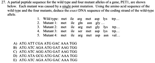 27. A partial peptide sequence for the wild type and four mutant alleles of a gene, PET1, are ...