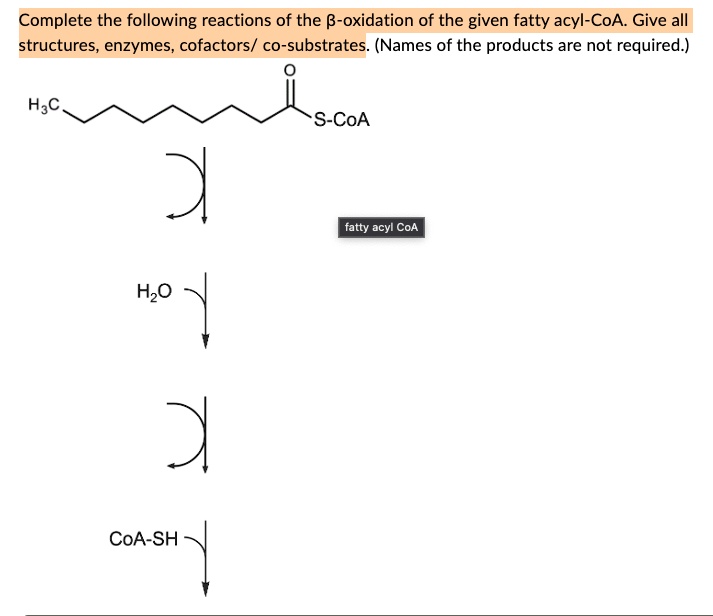 SOLVED: Complete the following reactions of the Î²-oxidation of the ...