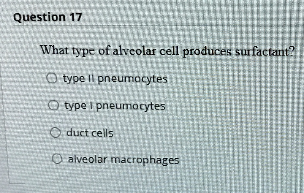 question 17 what type of alveolar cell produces surfactant type ii ...